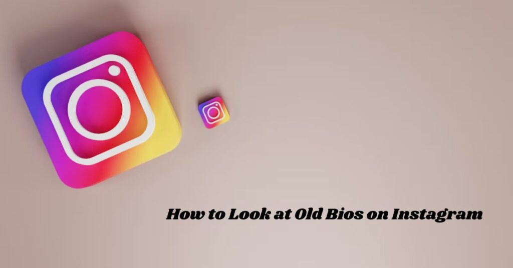 How to Look at Old Bios on Instagram in 2025